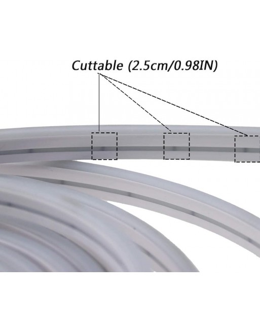 Rollo Led Neon Flex Azul 5Mt 120Led 12v