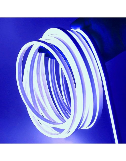 Rollo Led Neon Flex Azul 5Mt 120Led 12v