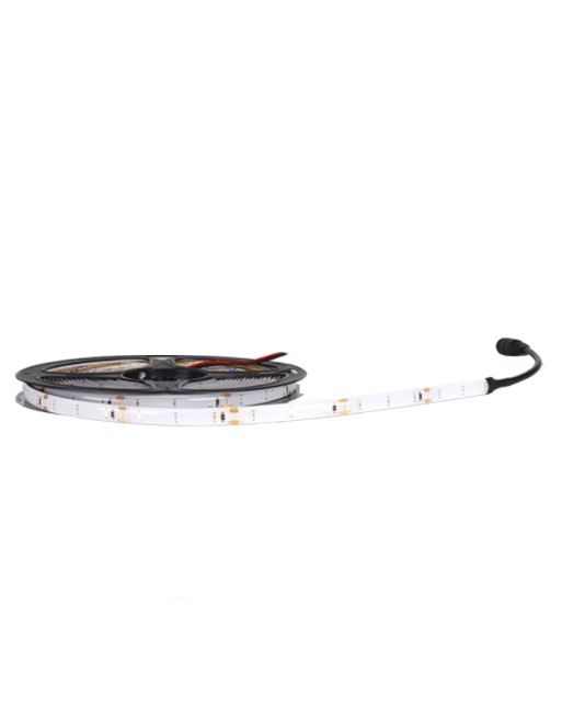 Tira LED 2835 de Luz Negra UV 6metros LN12W6MN